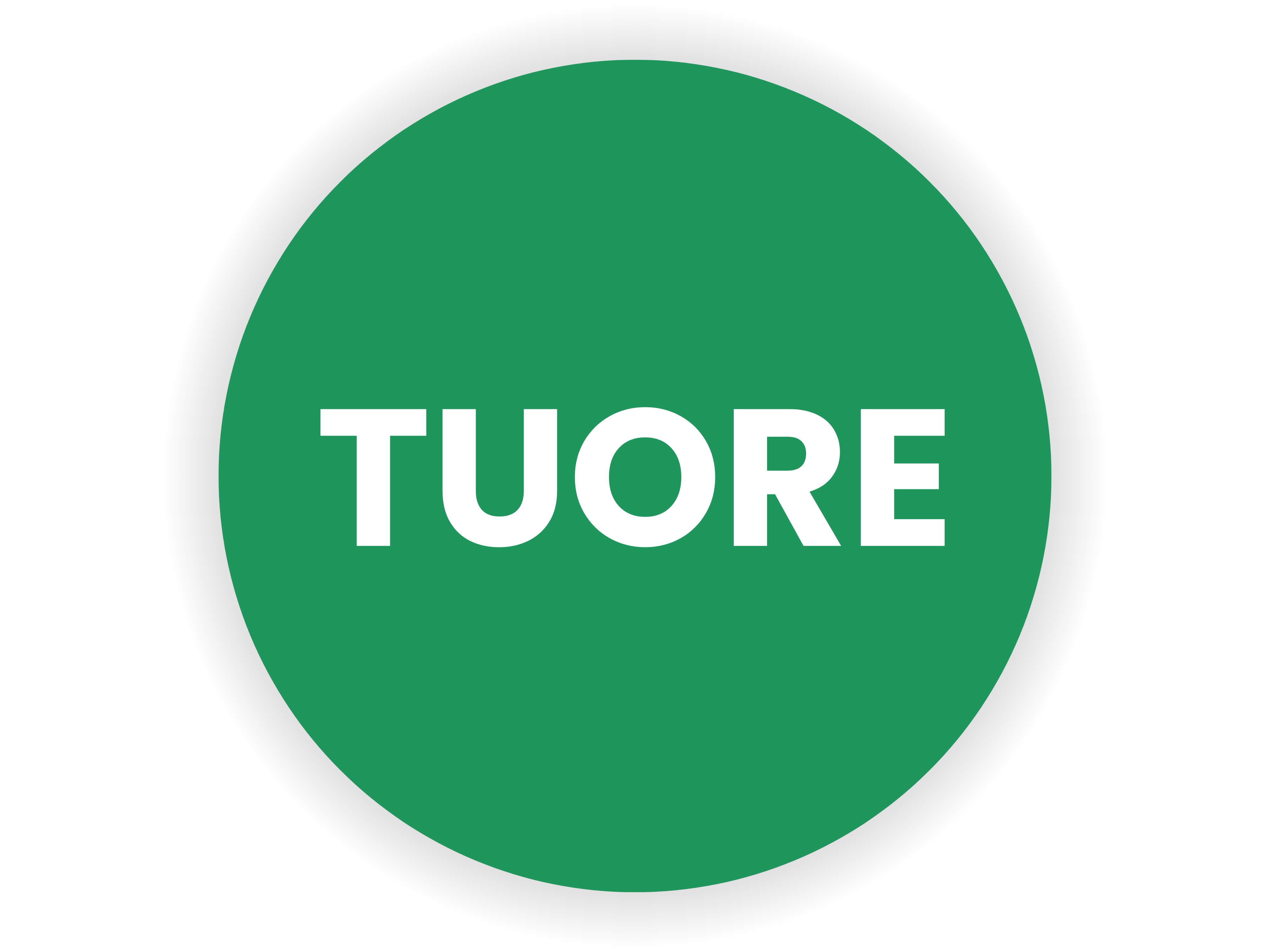 Tuore Maissi 12x2ST ES - Elatukku verkkokauppa